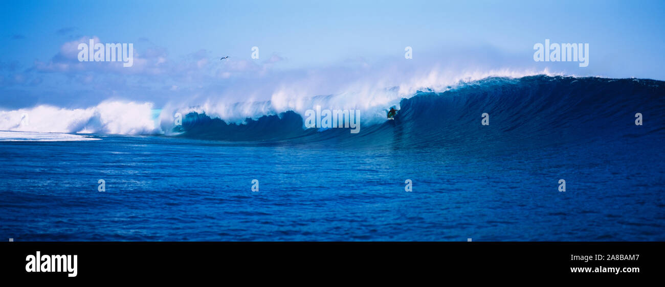 Surfer surfing in the ocean, Tahiti, French Polynesia Stock Photo - Alamy