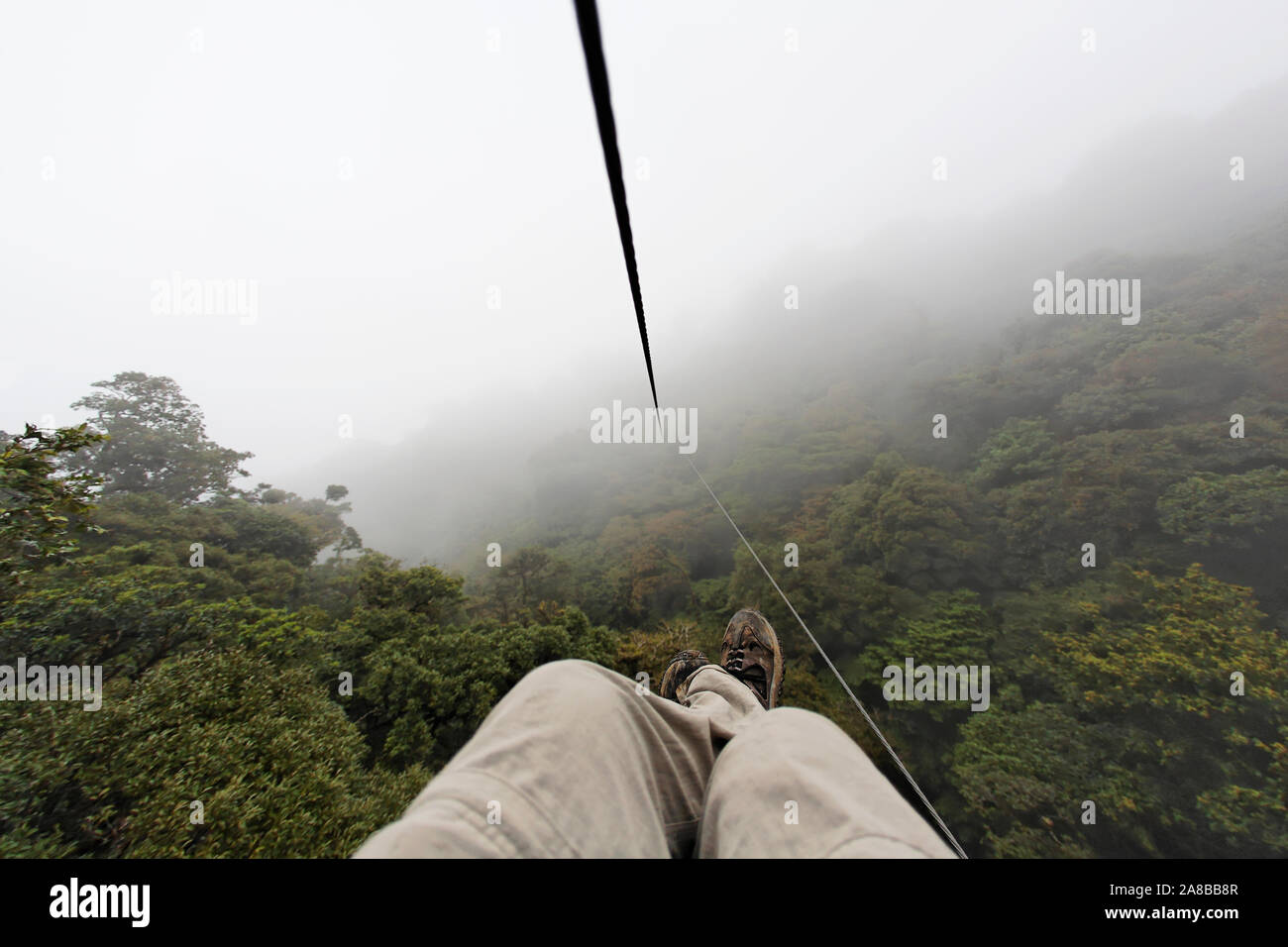 Low section view of a man riding a zip line in a forest, Santa Elena ...