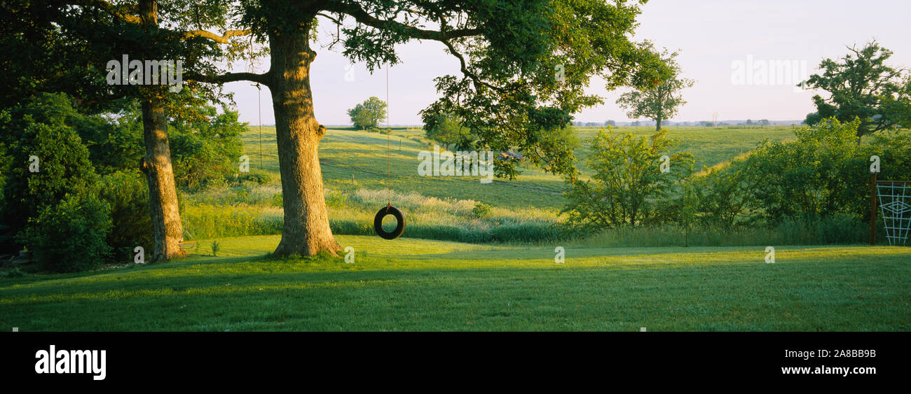 Tire swing on tree hi-res stock photography and images - Alamy