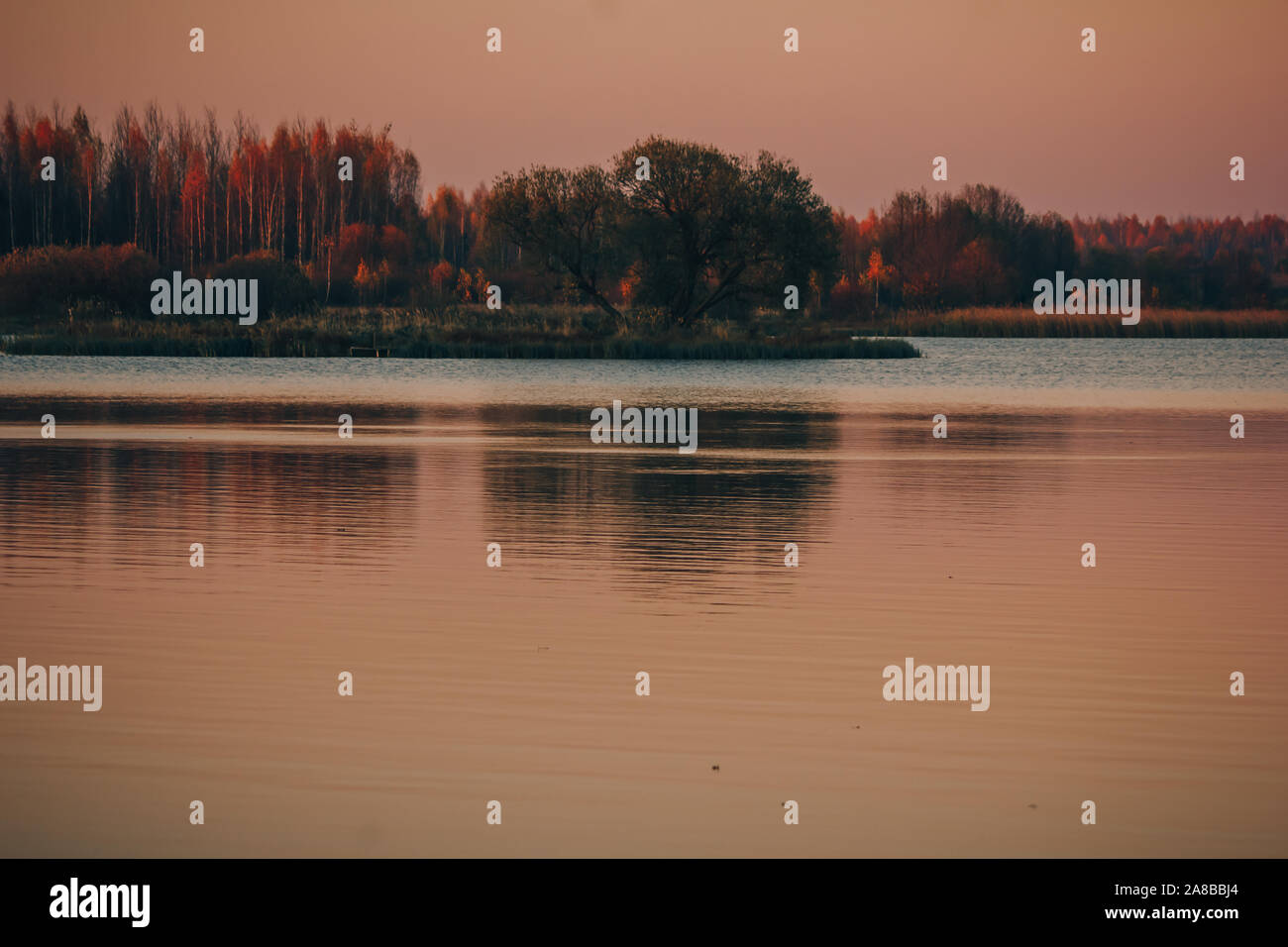 Beautiful forest lake sunset hi-res stock photography and images - Alamy