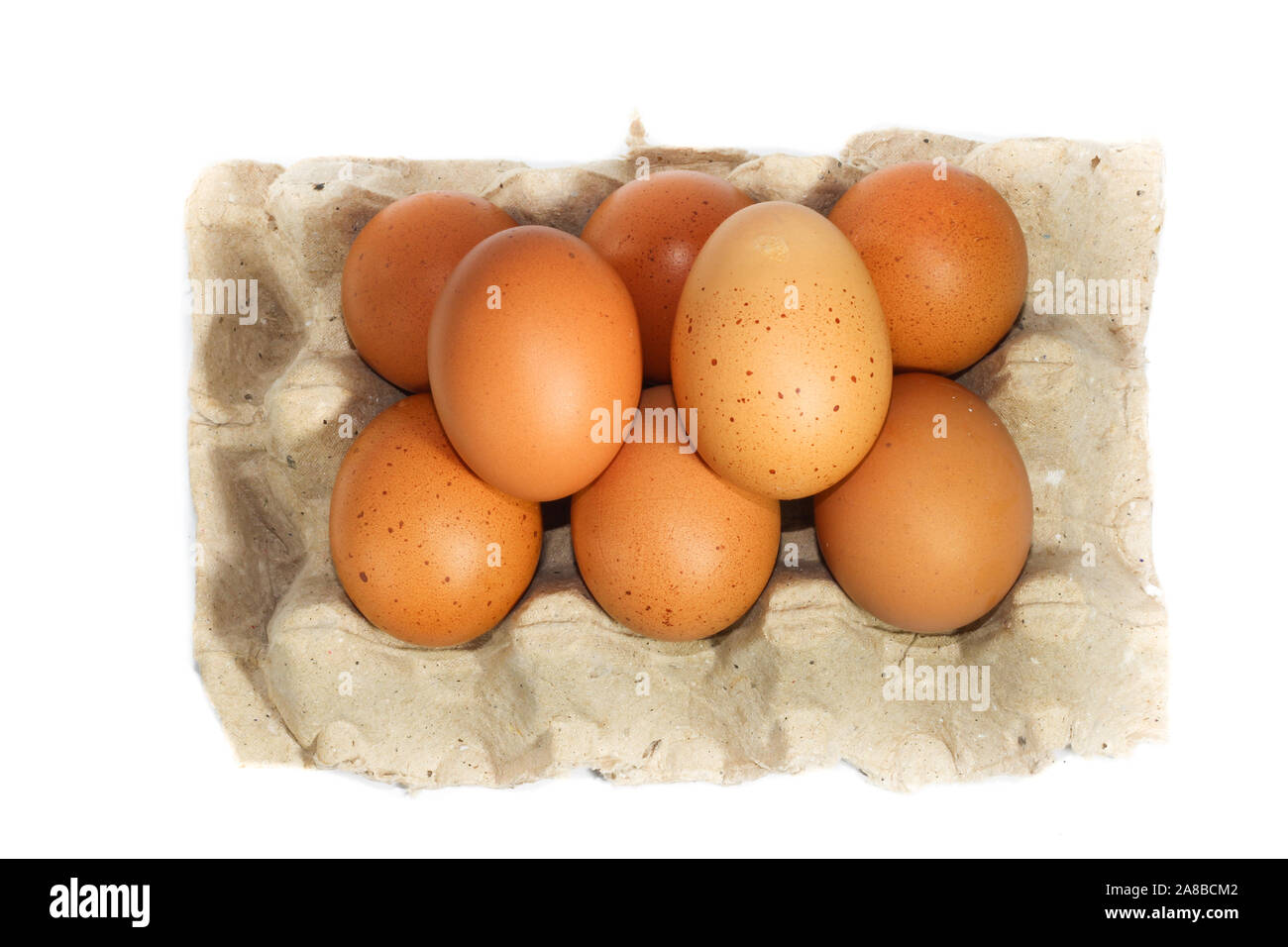Egg isolated on white background Stock Photo - Alamy