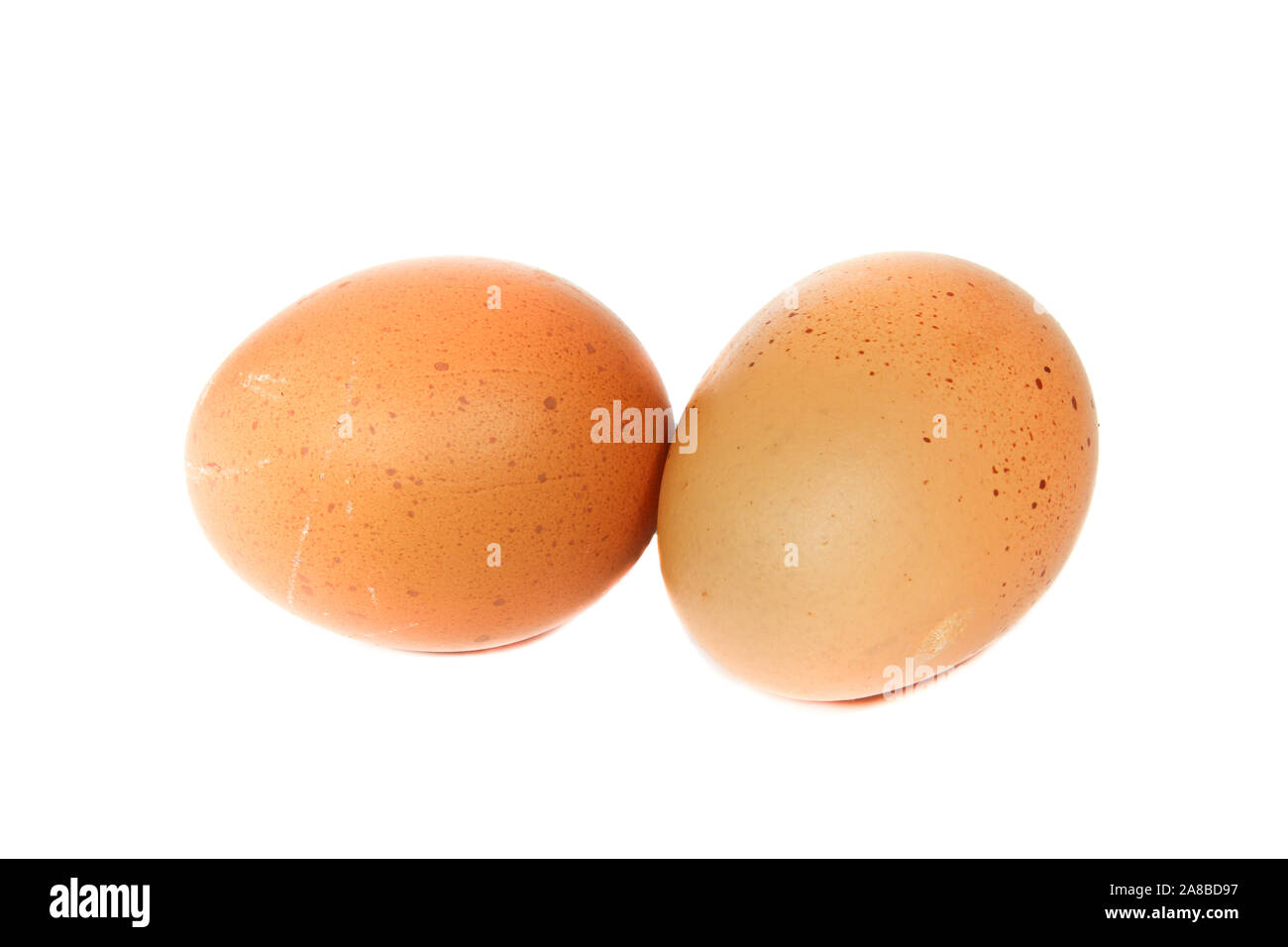 White single animal egg Cut Out Stock Images & Pictures - Alamy