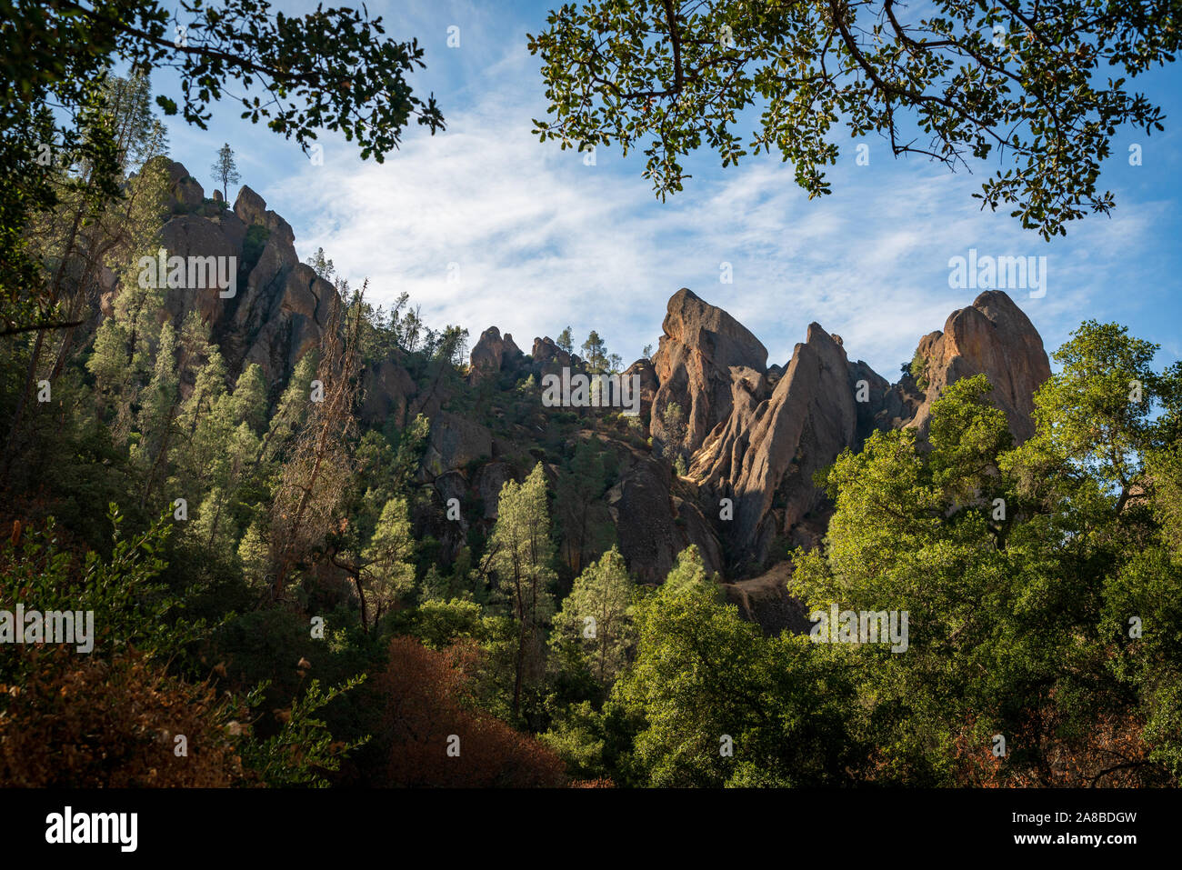 Pinnacles National Park in California Stock Photo - Alamy