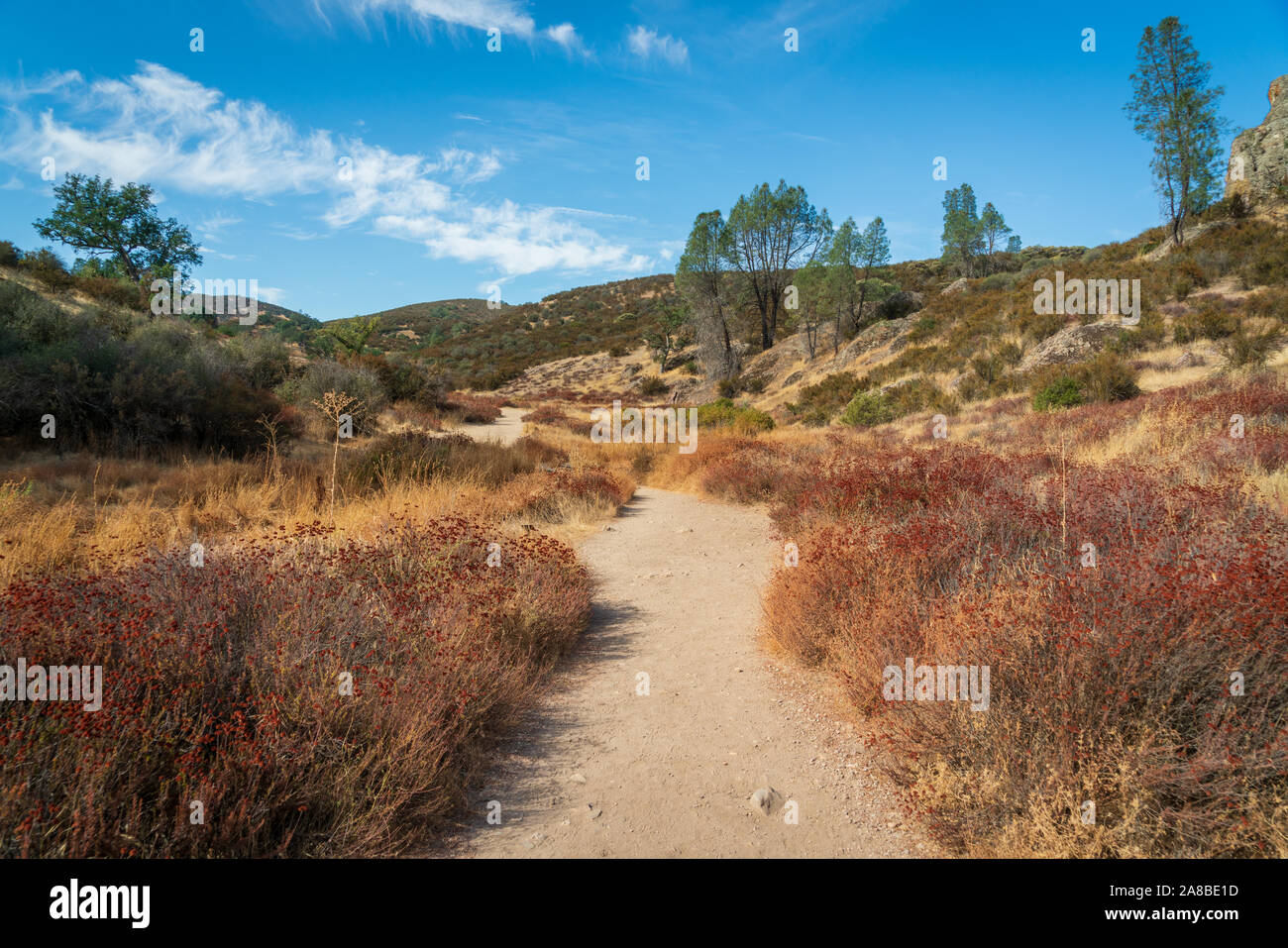 Pinnacles National Park in California Stock Photo - Alamy