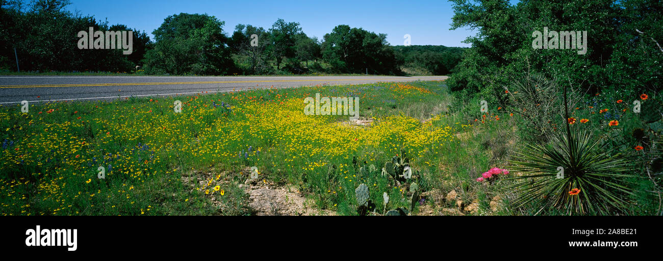 Highway 16 texas hi-res stock photography and images - Alamy