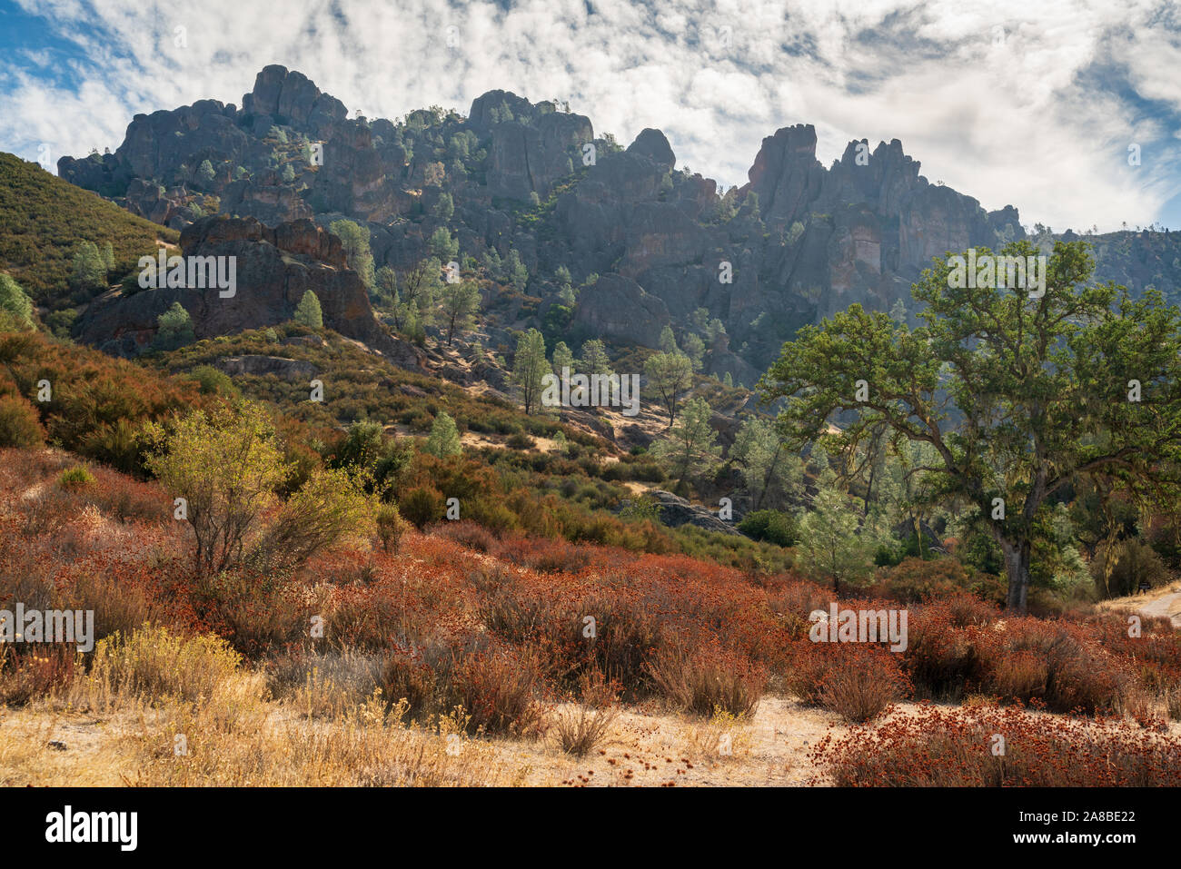 Pinnacles National Park in California Stock Photo - Alamy