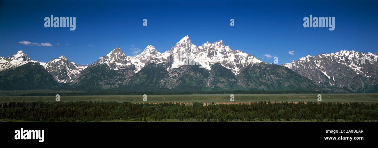 Trees in a forest with mountains in the background, Teton Point Turnout ...