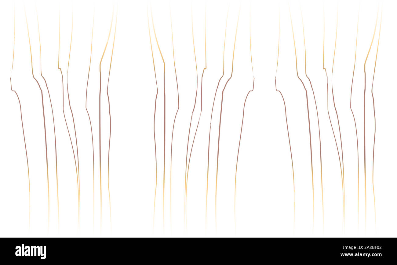 abstract seamless tree growth line nature pattern texture background ...