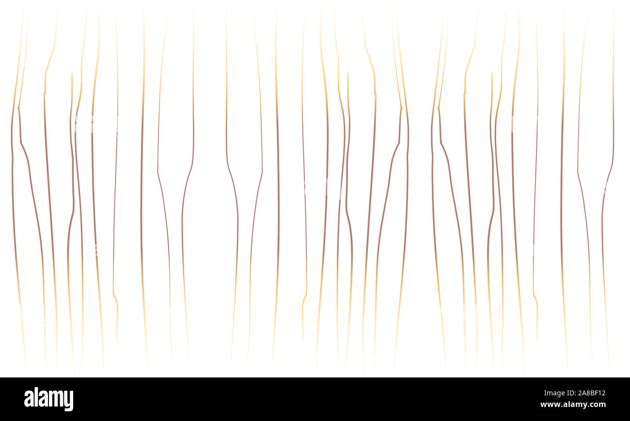 abstract seamless tree growth line nature pattern texture background ...