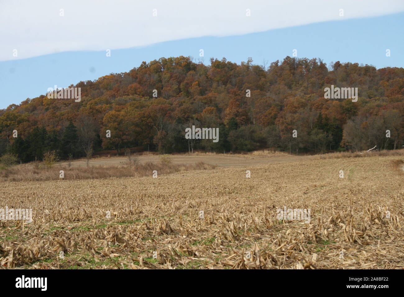 Autumn in Missouri Stock Photo - Alamy