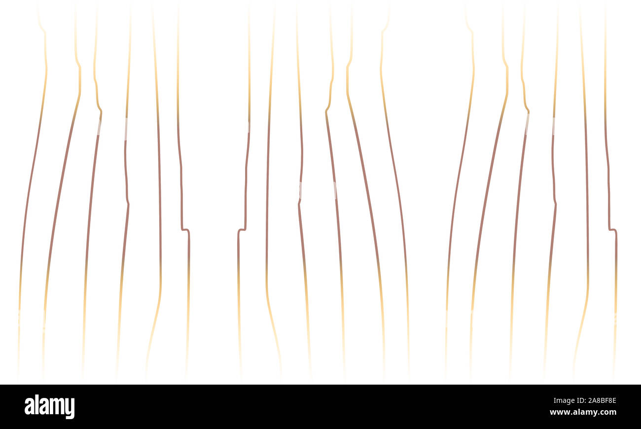 abstract seamless tree growth line nature pattern texture background ...