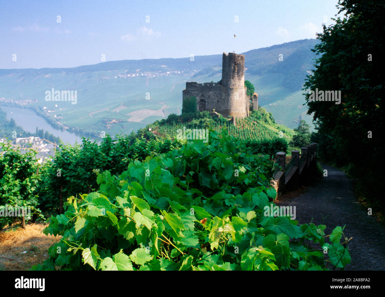 Landshut Castle in Bernkastel-Kues, Rhineland-Palatinate, Germany Stock ...