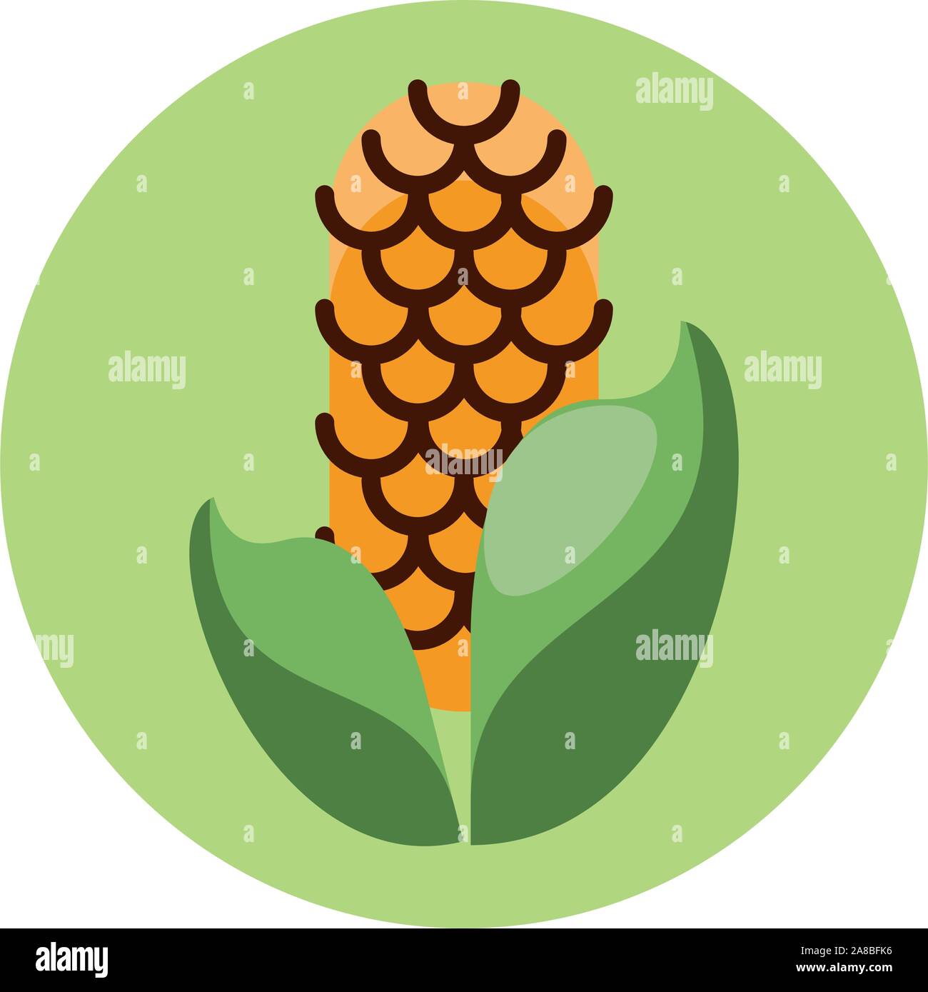 corn cob vegetable thanksgiving icon Stock Vector Image & Art - Alamy