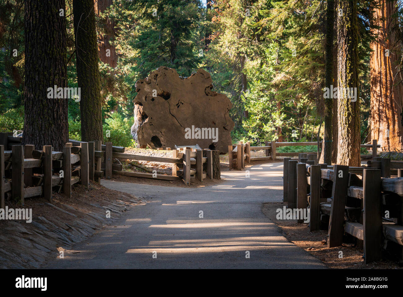 Sequoia National Park in the Sierra Nevada mountains Stock Photo - Alamy