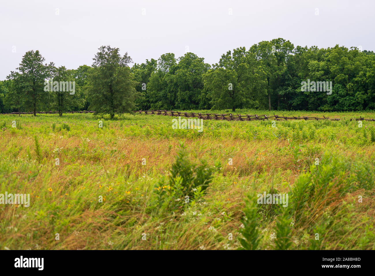 Wilson's Creek National Battlefield, in the Ozarks, Missouri Stock ...