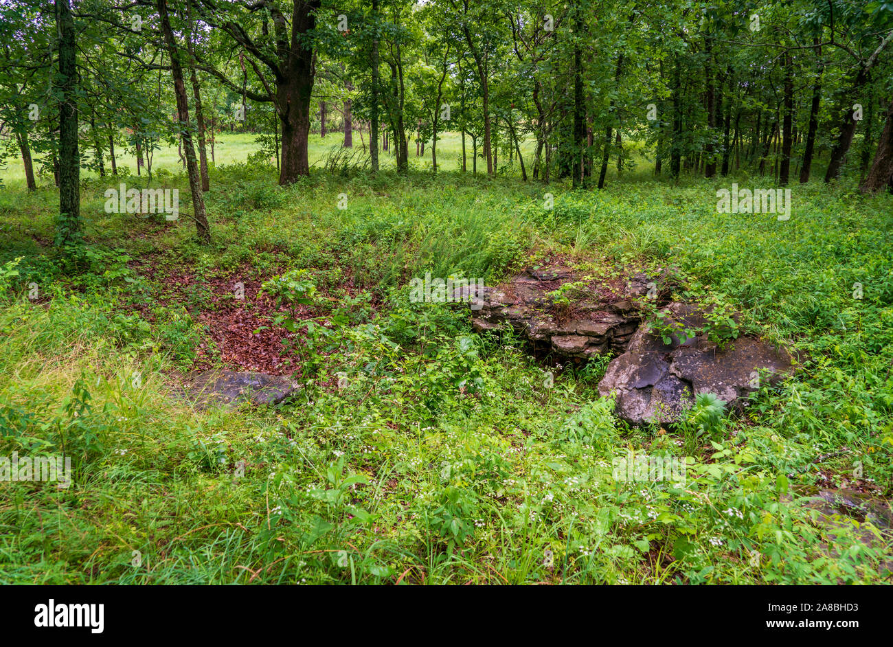Wilson's Creek National Battlefield, in the Ozarks, Missouri Stock ...