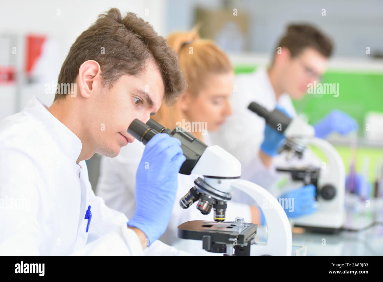 Group of Laboratory scientists working at lab with test tubes and ...