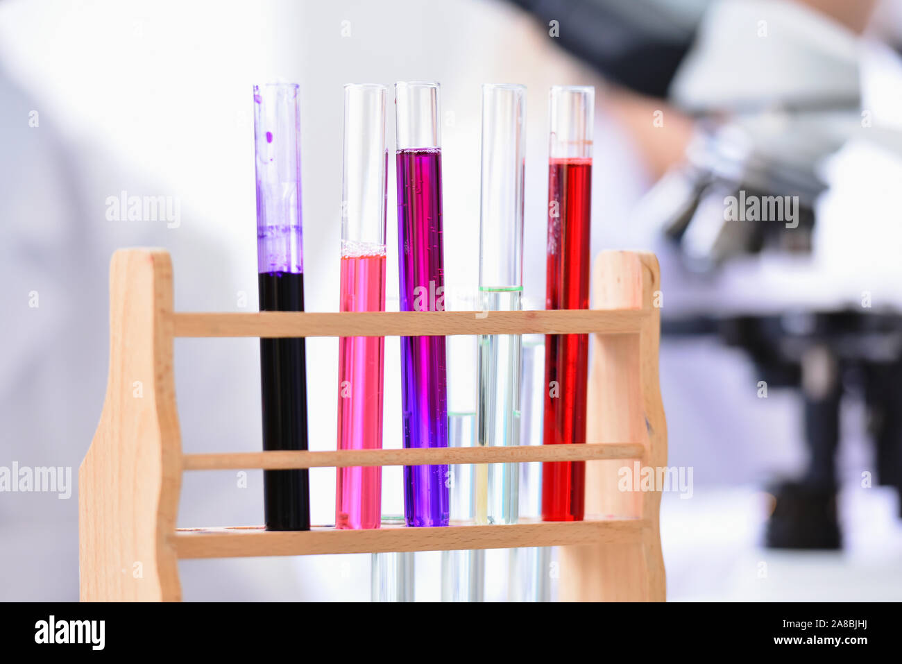 Microbiological pipette in the genetic laboratory. Science laboratory ...