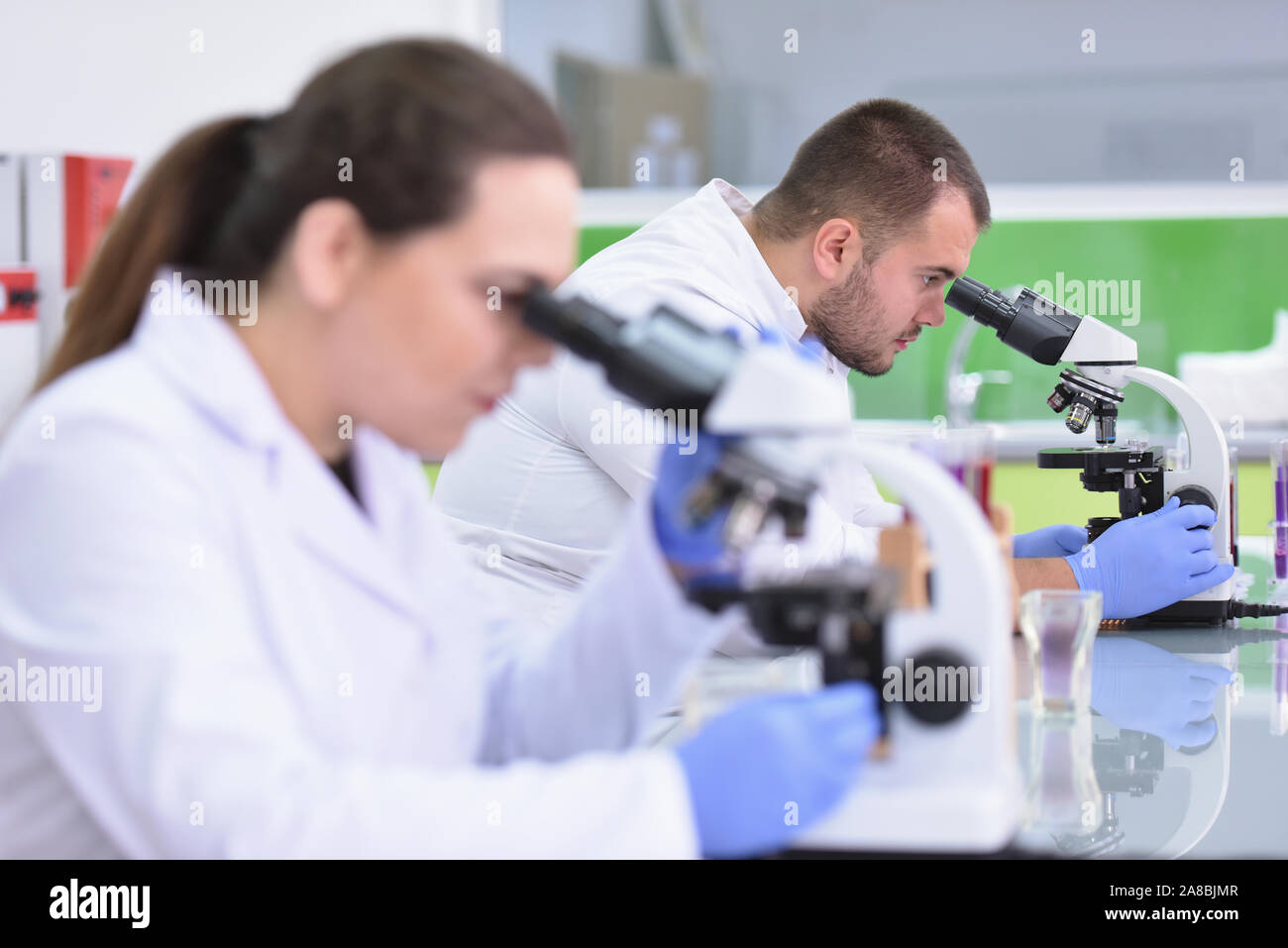 Two Young Female and male Laboratory scientists working at lab with ...