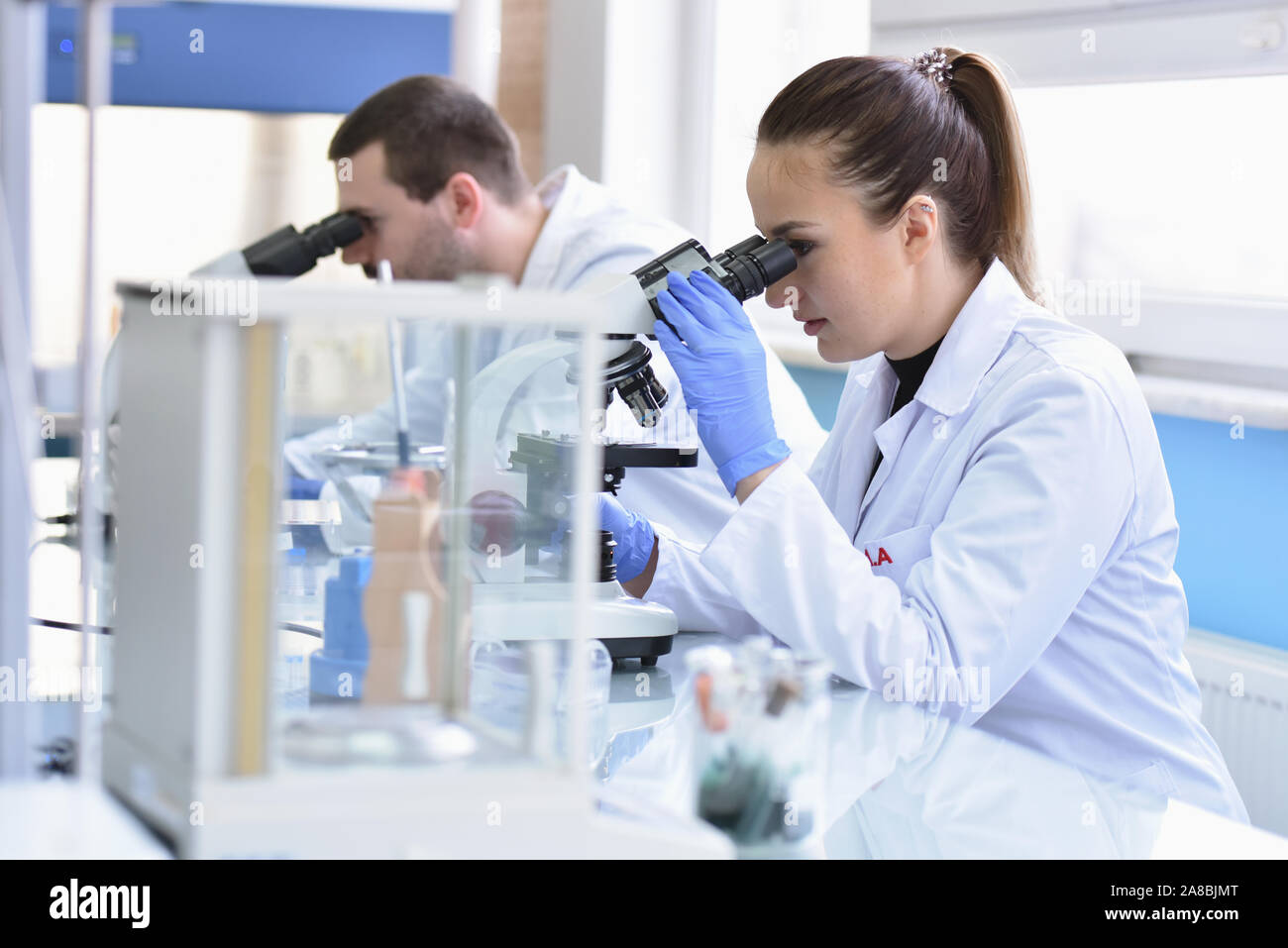 Two Young Female and male Laboratory scientists working at lab with ...