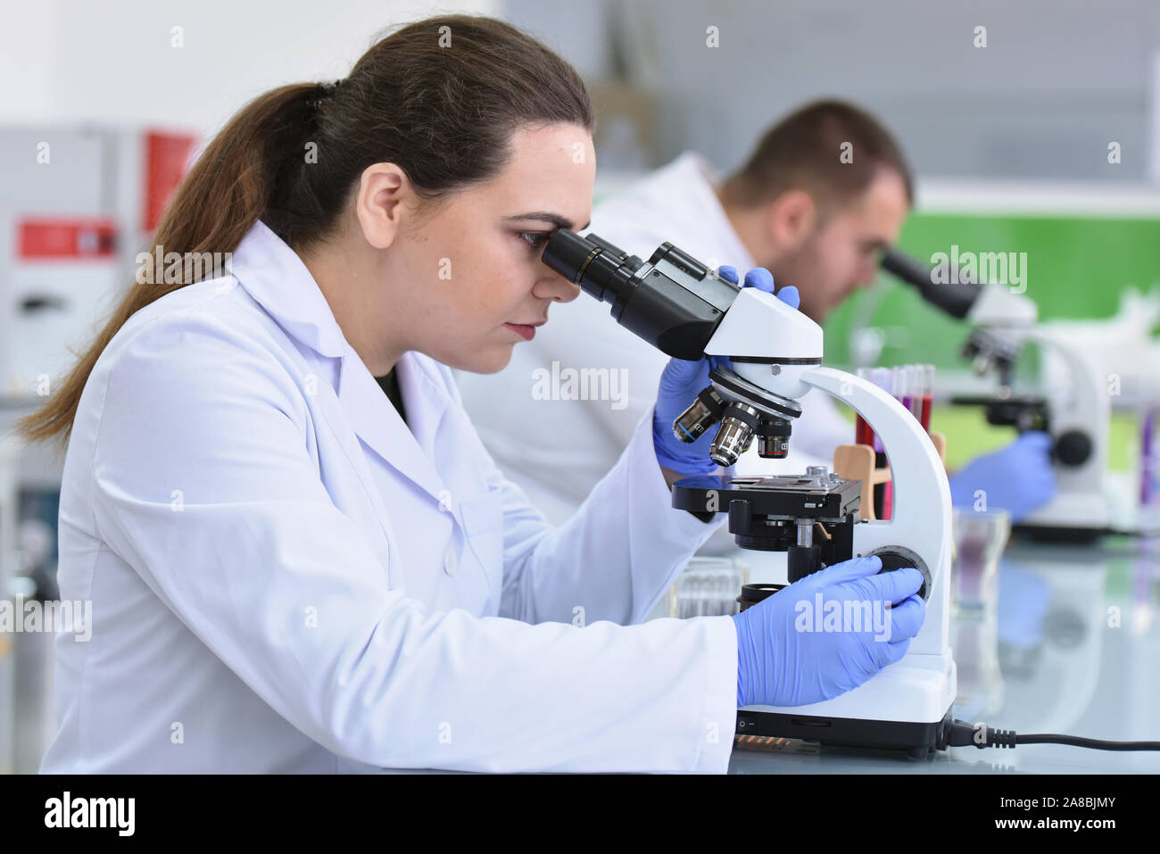 Two Young Female and male Laboratory scientists working at lab with ...