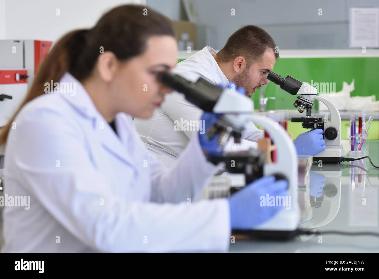 Two Young Female and male Laboratory scientists working at lab with ...