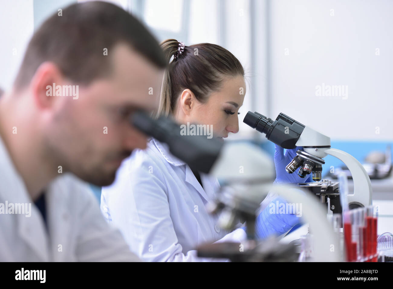 Two Young Female and male Laboratory scientists working at lab with ...