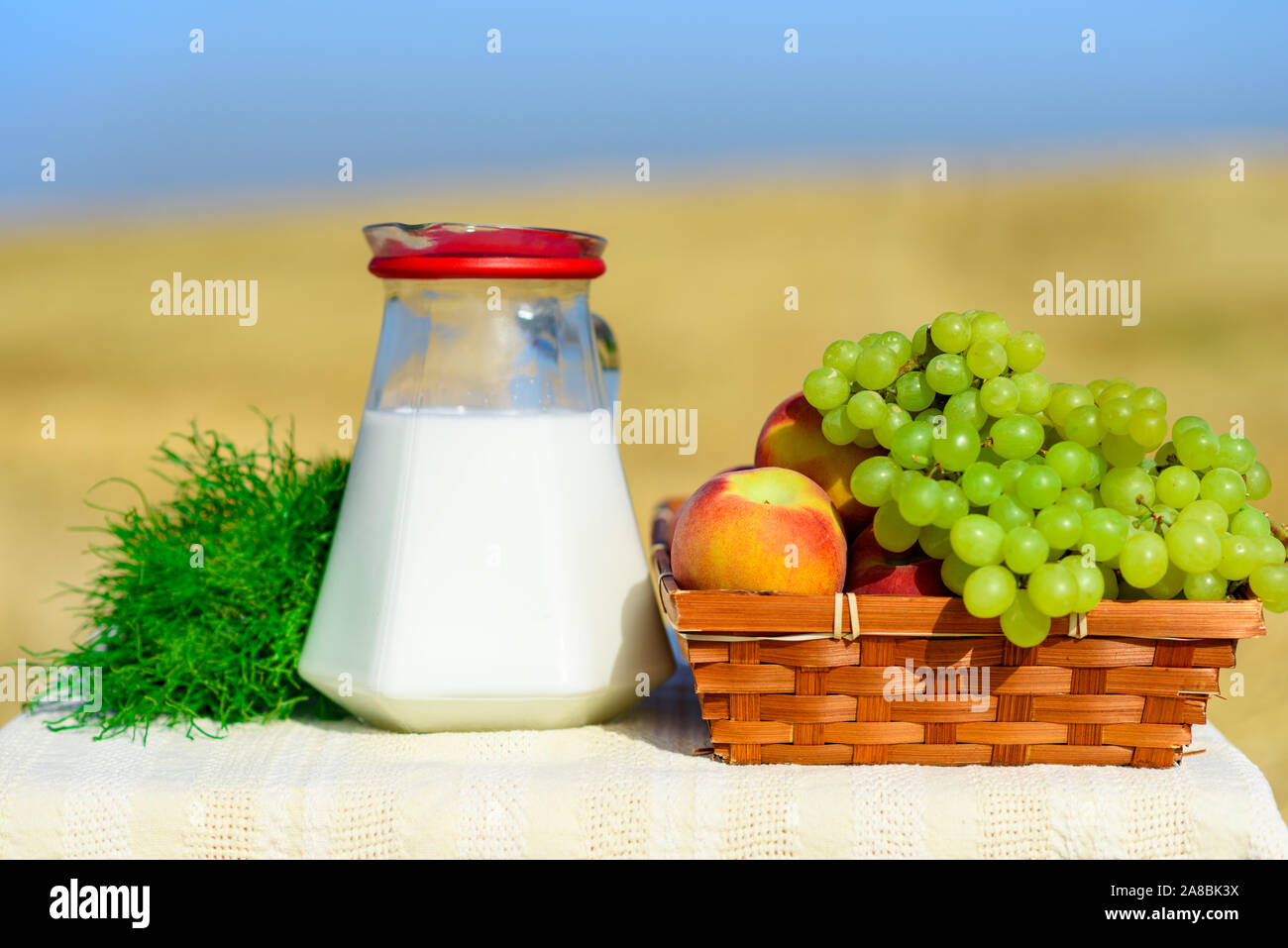 First fruits habikkurim and milk on rustic linen tablecloth. Symbols of ...