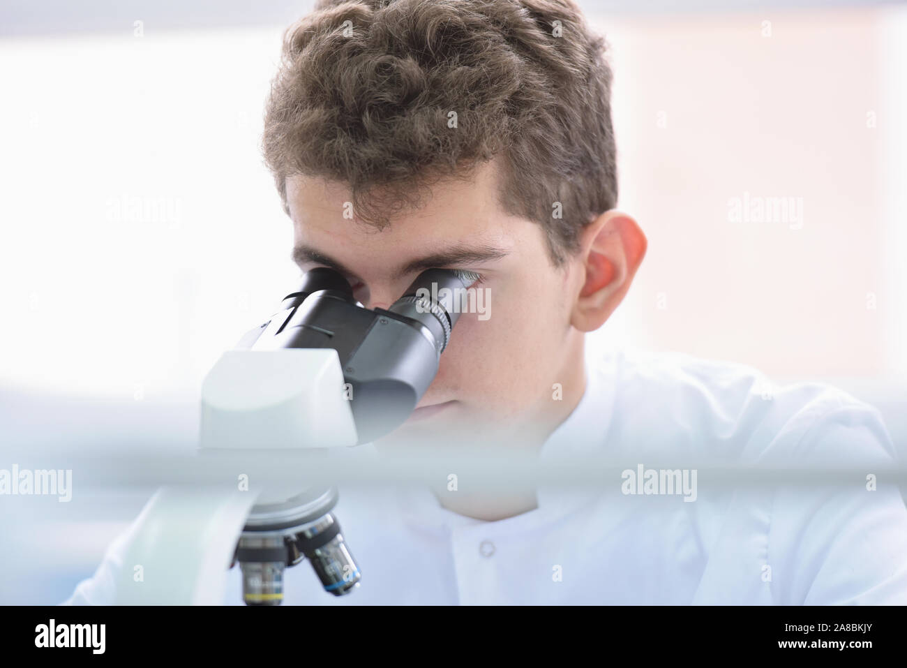 Young male scientist looking through a microscope in a laboratory doing ...