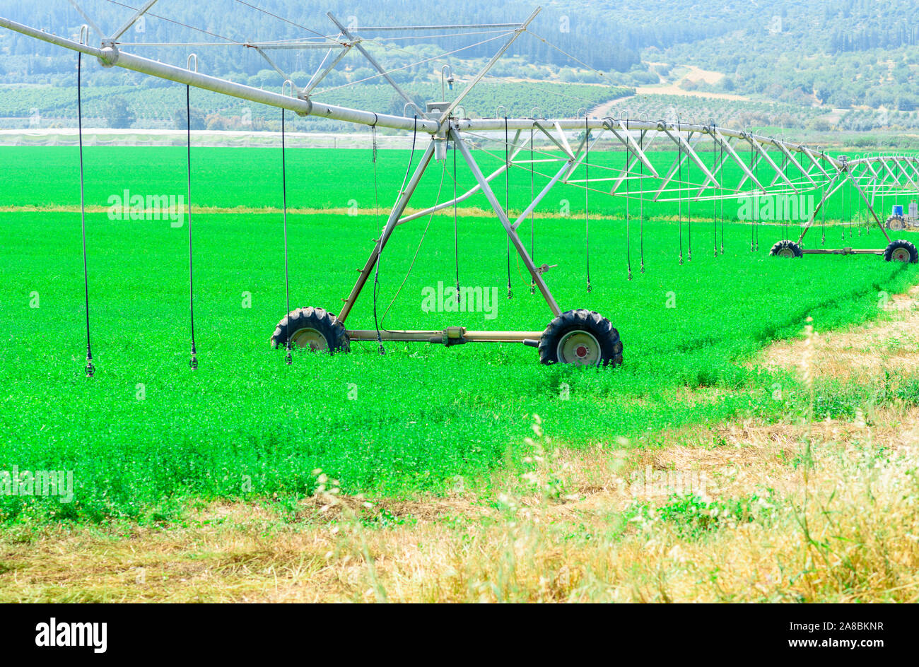 Central pivot irrigation system in a green field in a sunny day. Modern ...