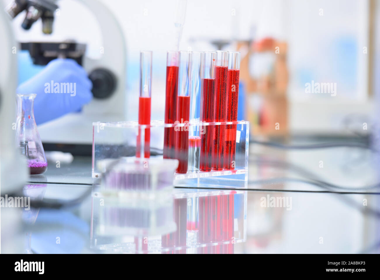 Microbiological pipette in the genetic laboratory. Science laboratory ...