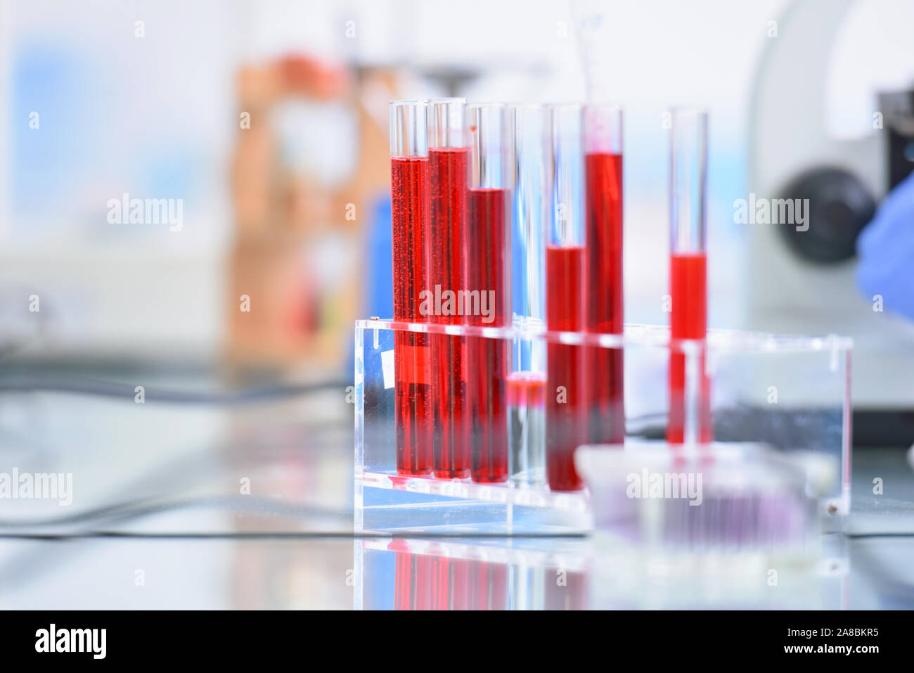 Microbiological pipette in the genetic laboratory. Science laboratory ...