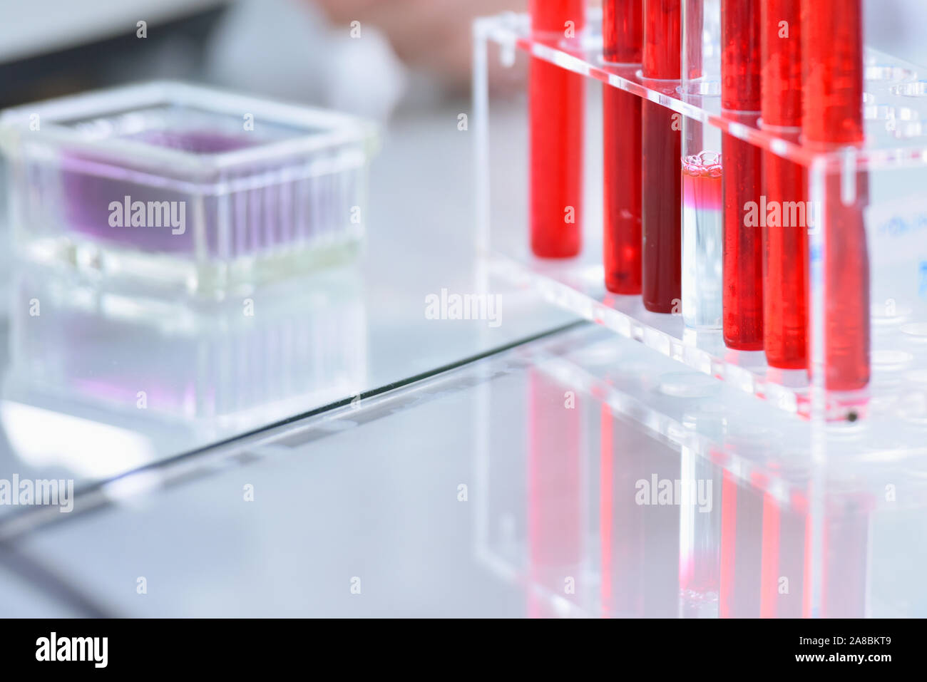 Microbiological pipette in the genetic laboratory. Science laboratory ...