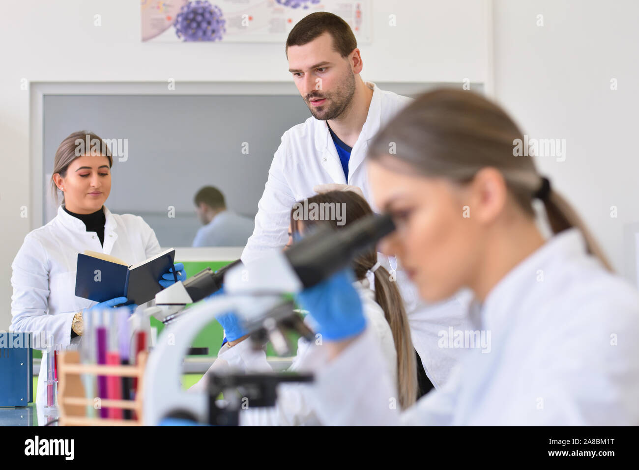 Group of young Laboratory scientists working at lab with test tubes and ...