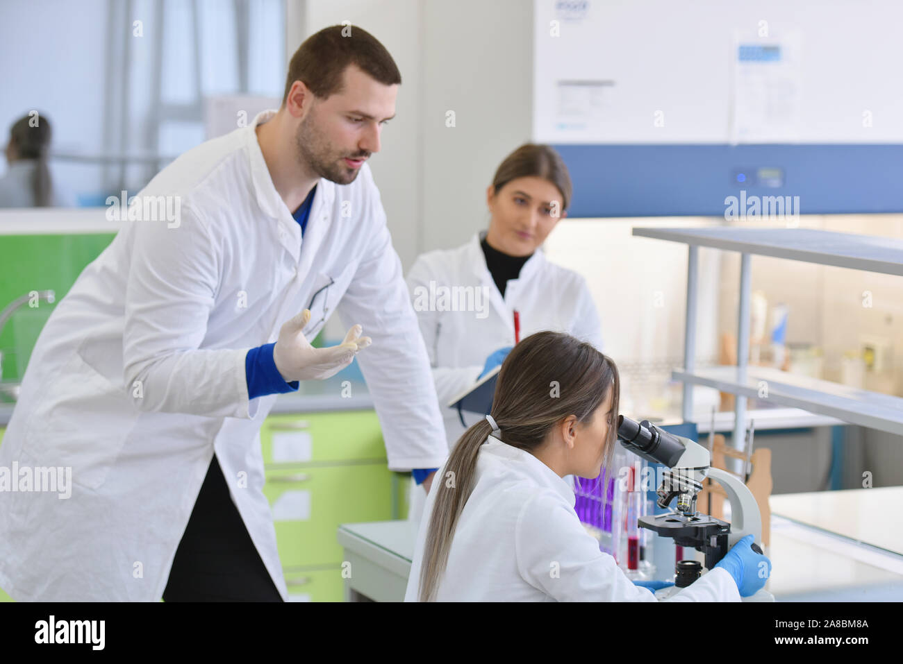 Group of young Laboratory scientists working at lab with test tubes and ...