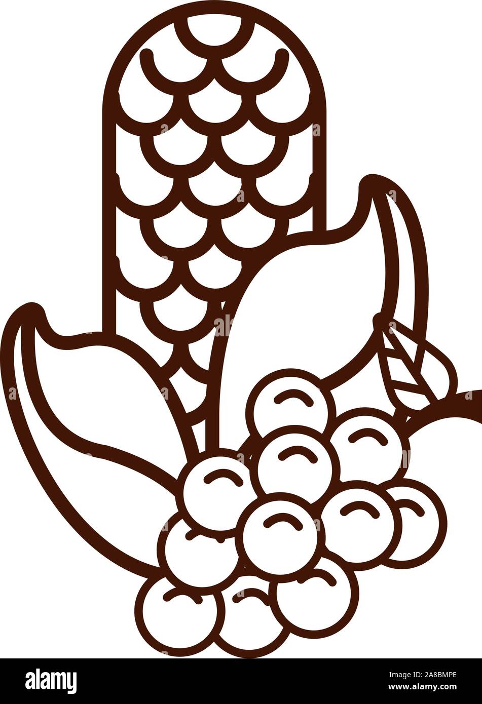 corn cob vegetable thanksgiving icon Stock Vector Image & Art - Alamy