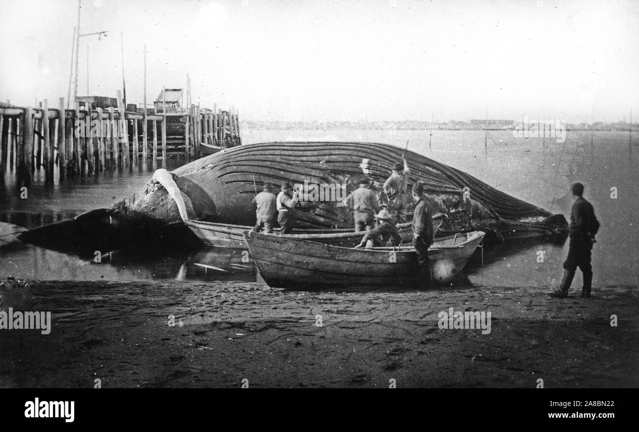 Early 1900s alaska hi-res stock photography and images - Alamy