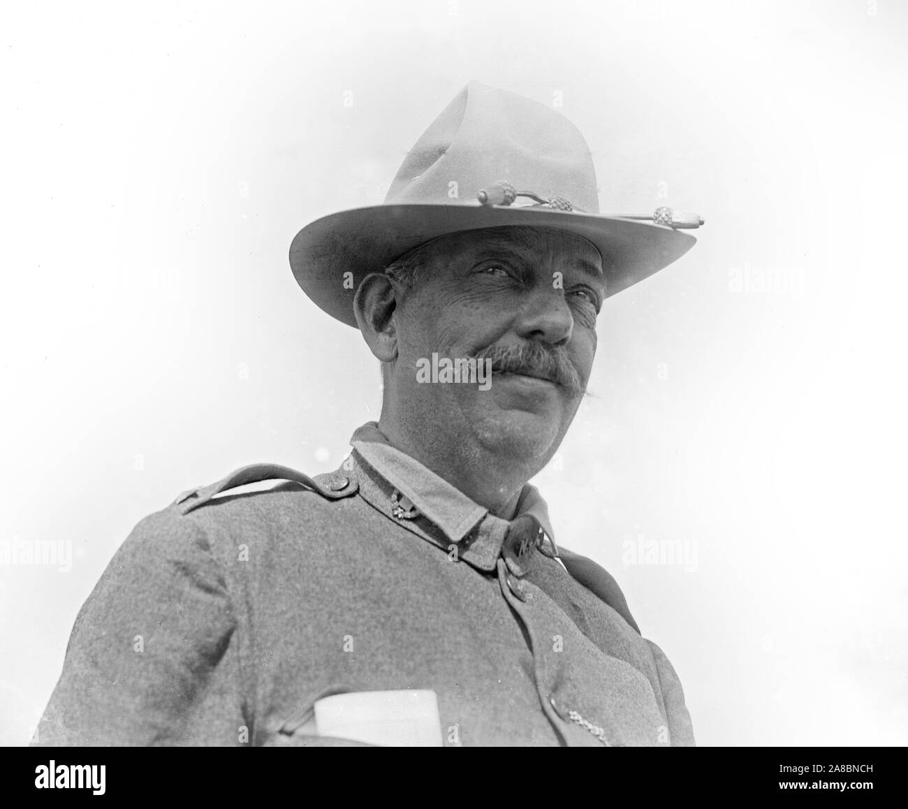 Bird spencer hi-res stock photography and images - Alamy