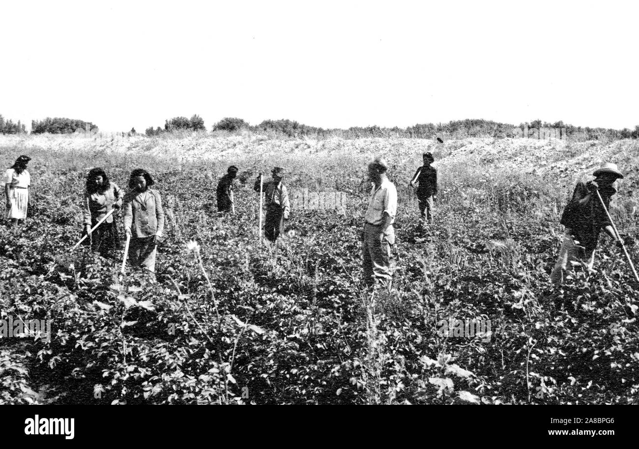 Laborers 1930s hi-res stock photography and images - Alamy