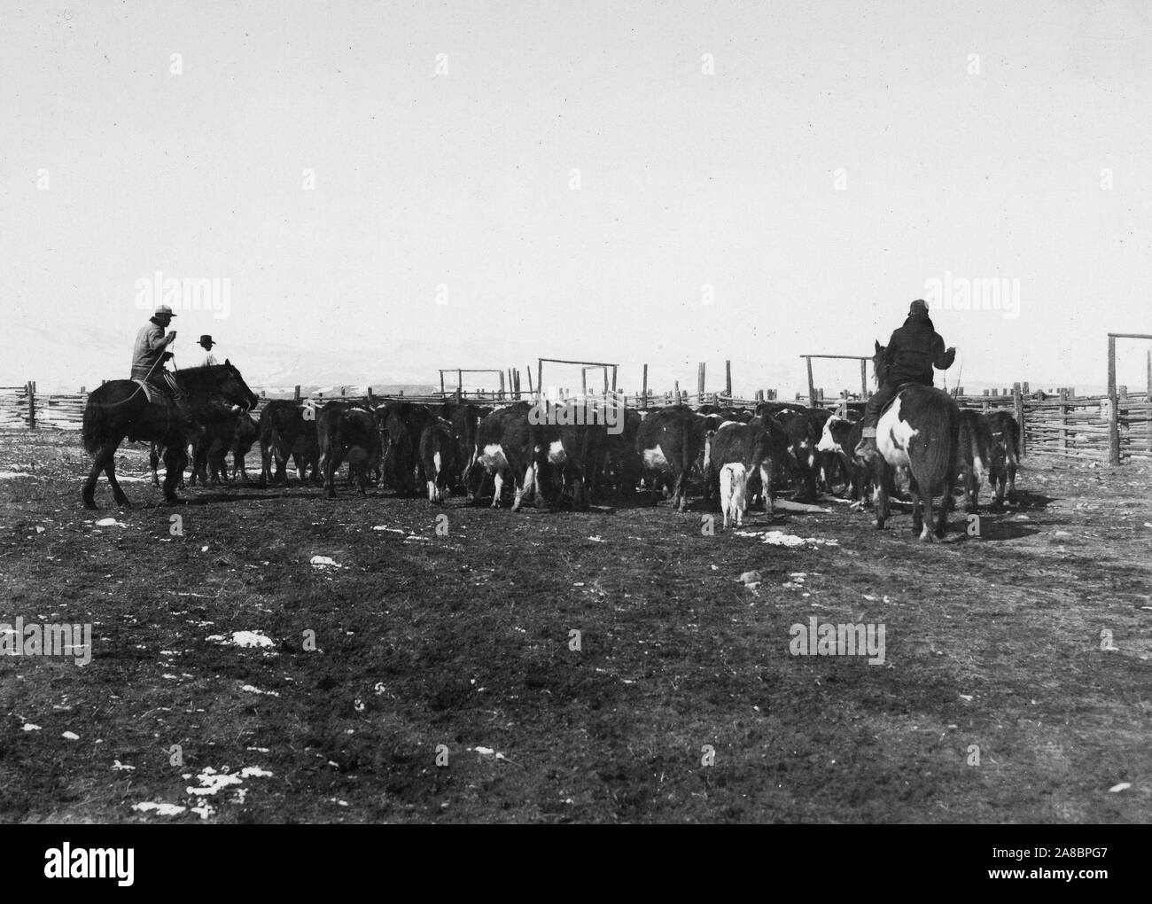 1940s men horseback hi-res stock photography and images - Alamy