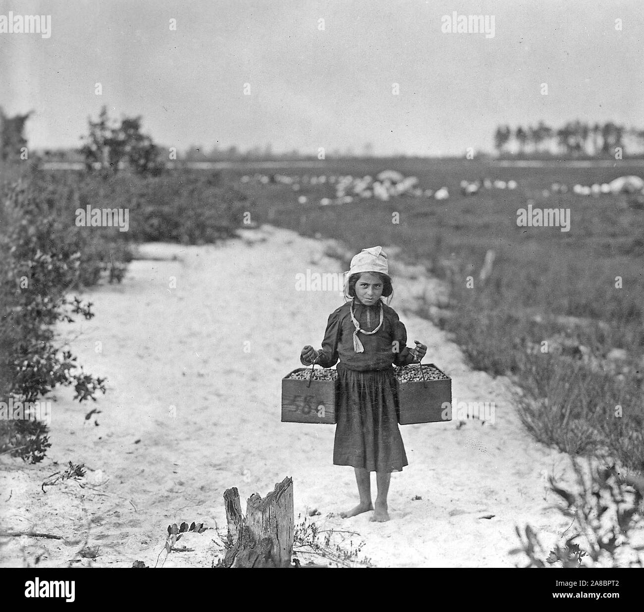 Child labor early 1900s child children working hi-res stock photography ...