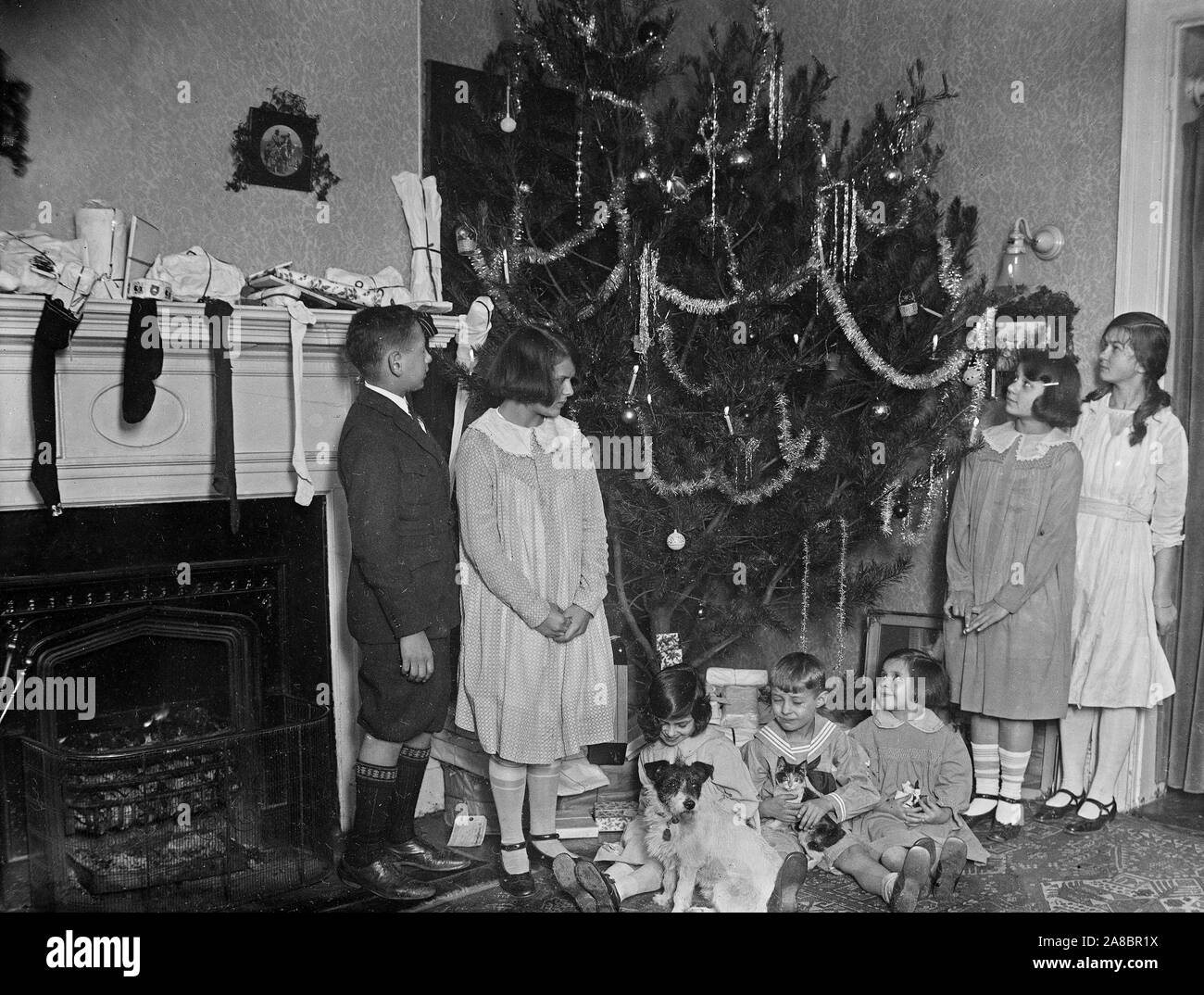Family group with Christmas tree ca. 1921-1924 Stock Photo - Alamy