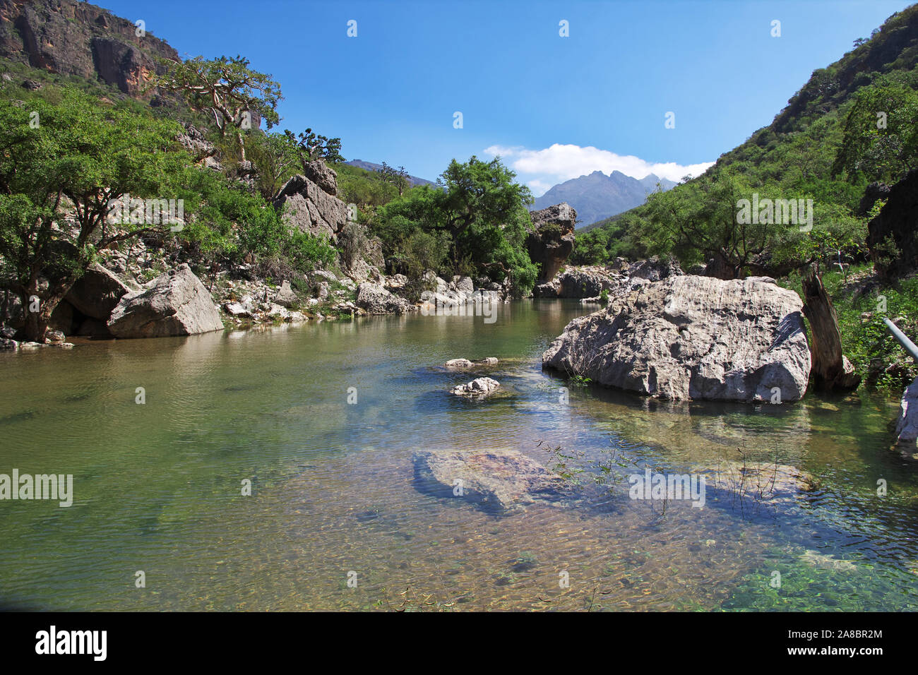 The river in Ayhaft Canyon, Socotra island, Indian ocean, Yemen Stock ...