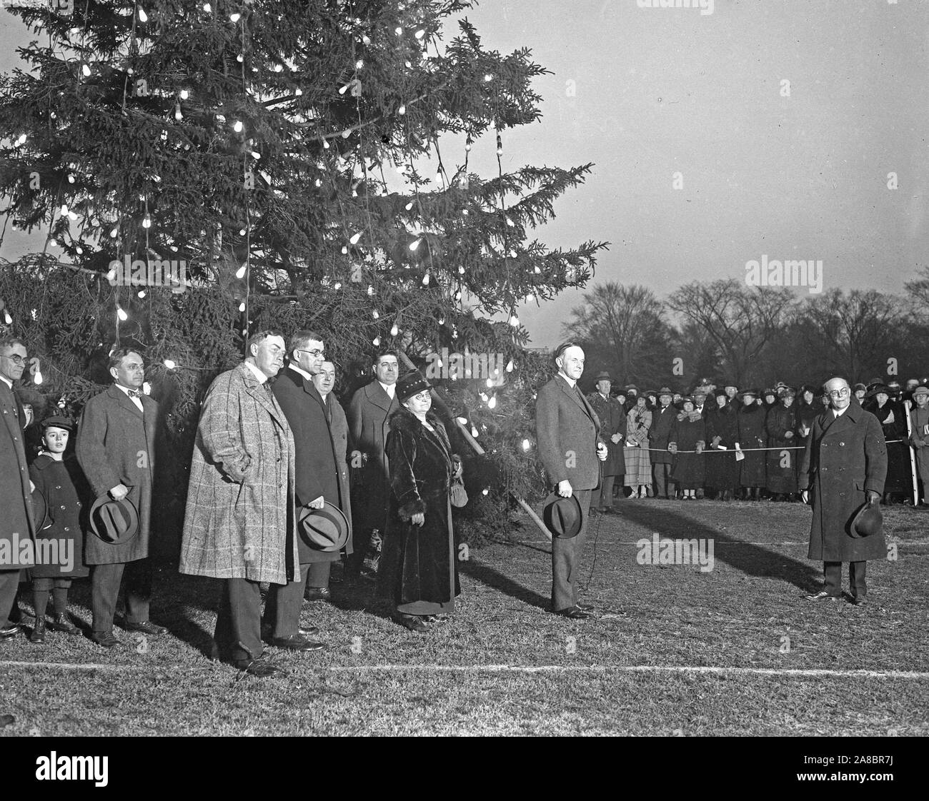 1920s calvin coolidge at christmas tree hi-res stock photography and ...
