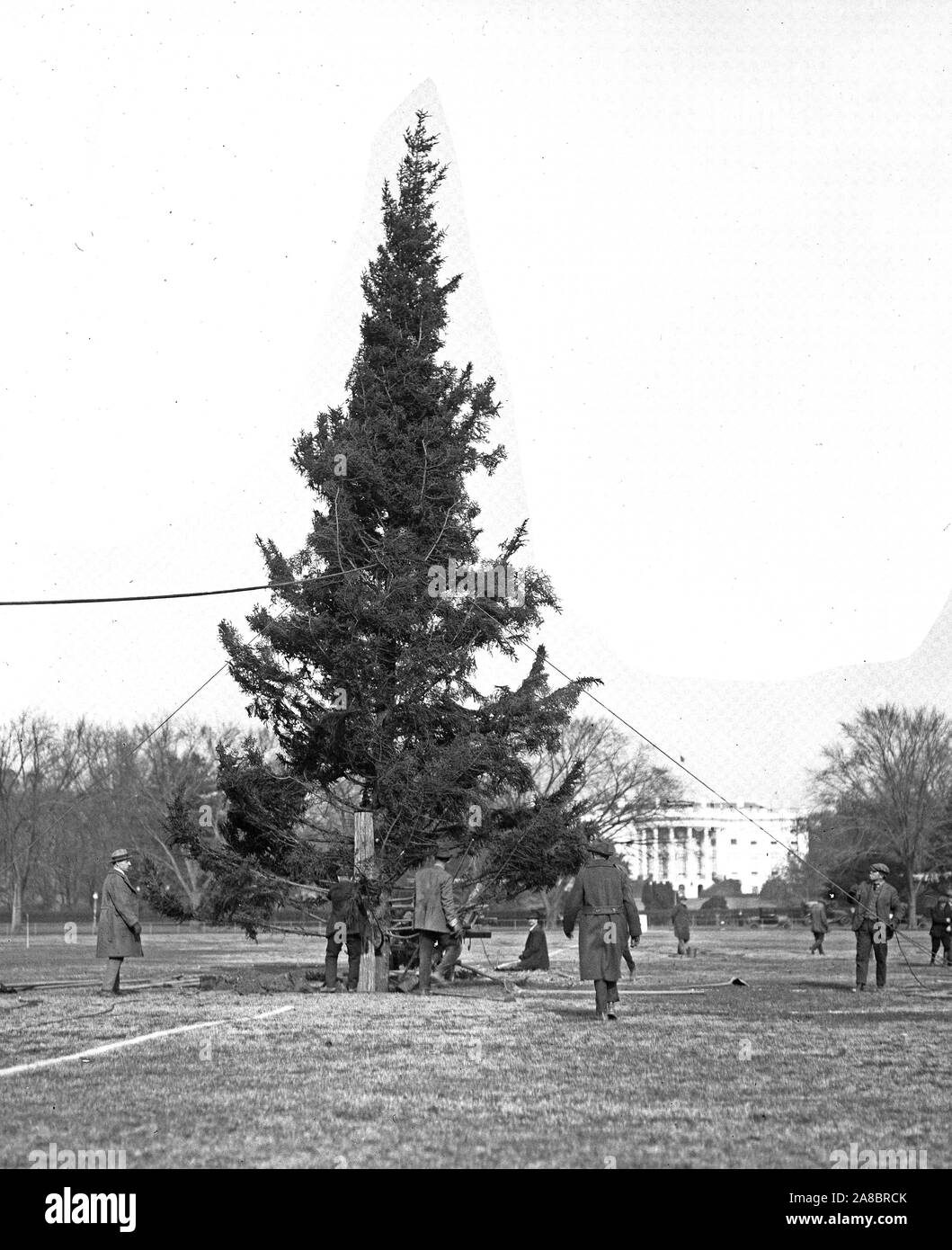 Early 1900s christmas photo hi-res stock photography and images - Alamy