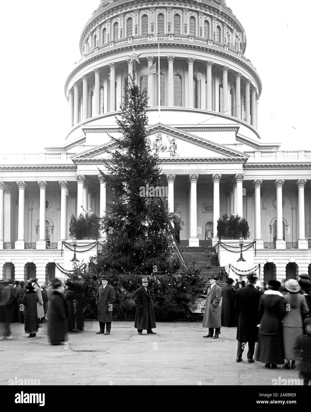 Community Christmas tree, U.S. Capitol ca. 1910-1925 Stock Photo - Alamy