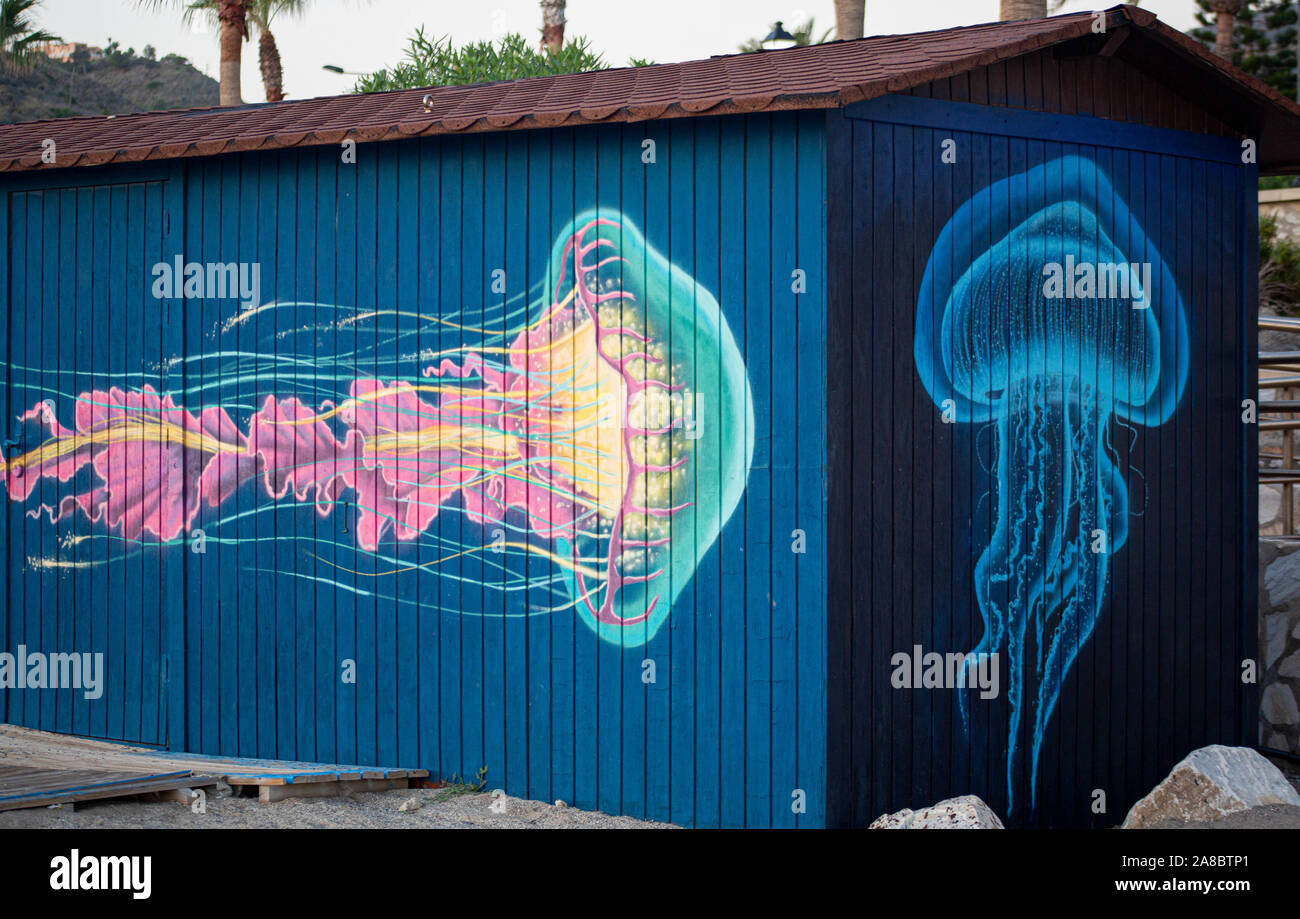 Graffiti Jellyfish