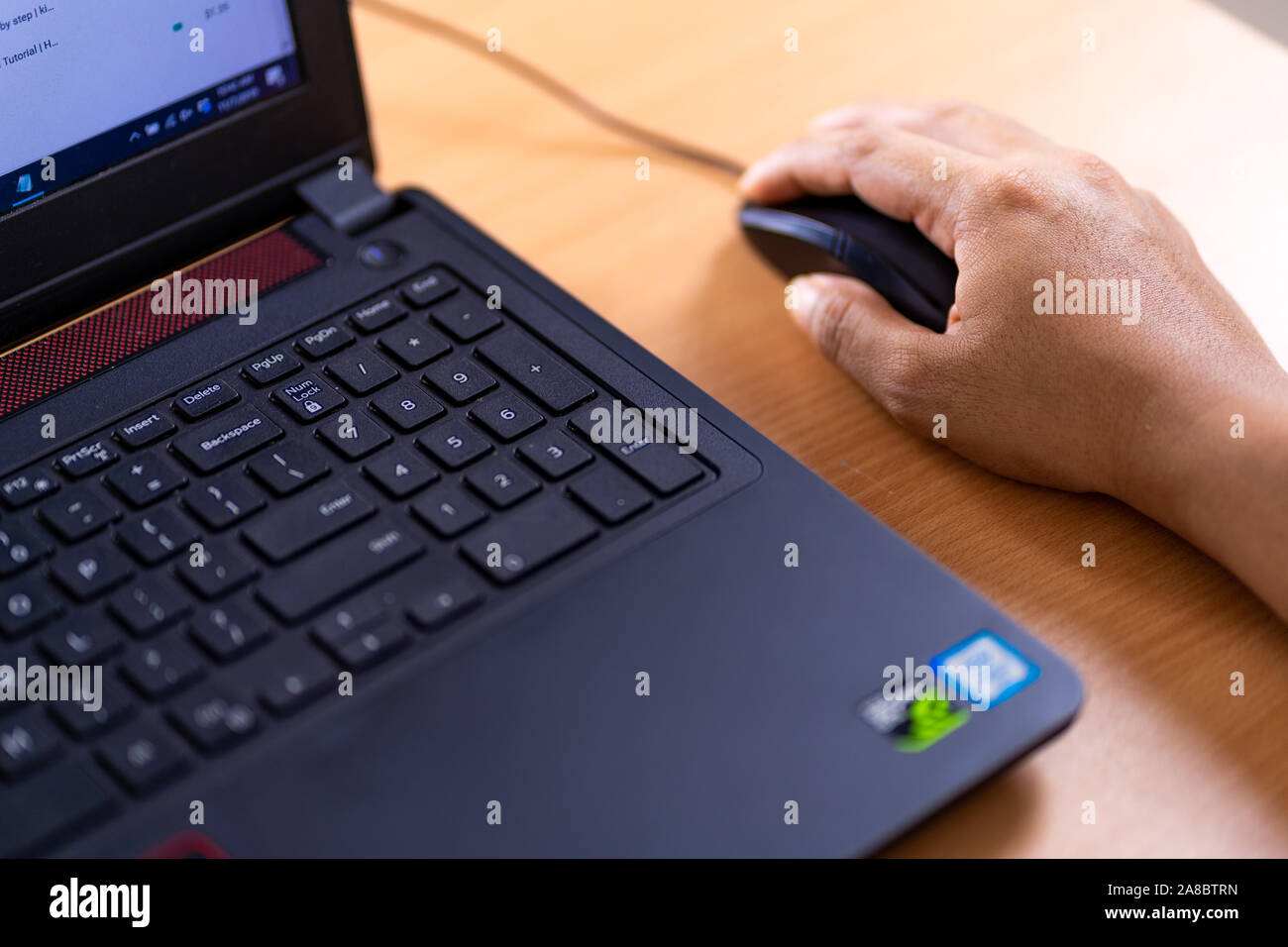 Female hand holding computer mouse Stock Photo - Alamy