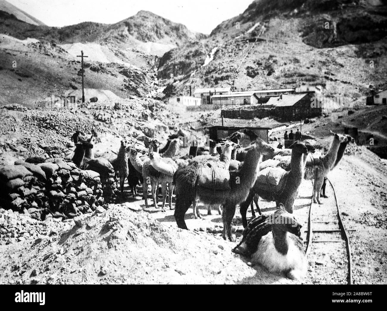 Early 1900s peru hi-res stock photography and images - Alamy