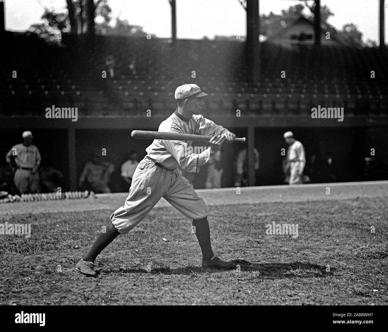 Baseball player from the St. Louis baseball club swinging a bat ca ...